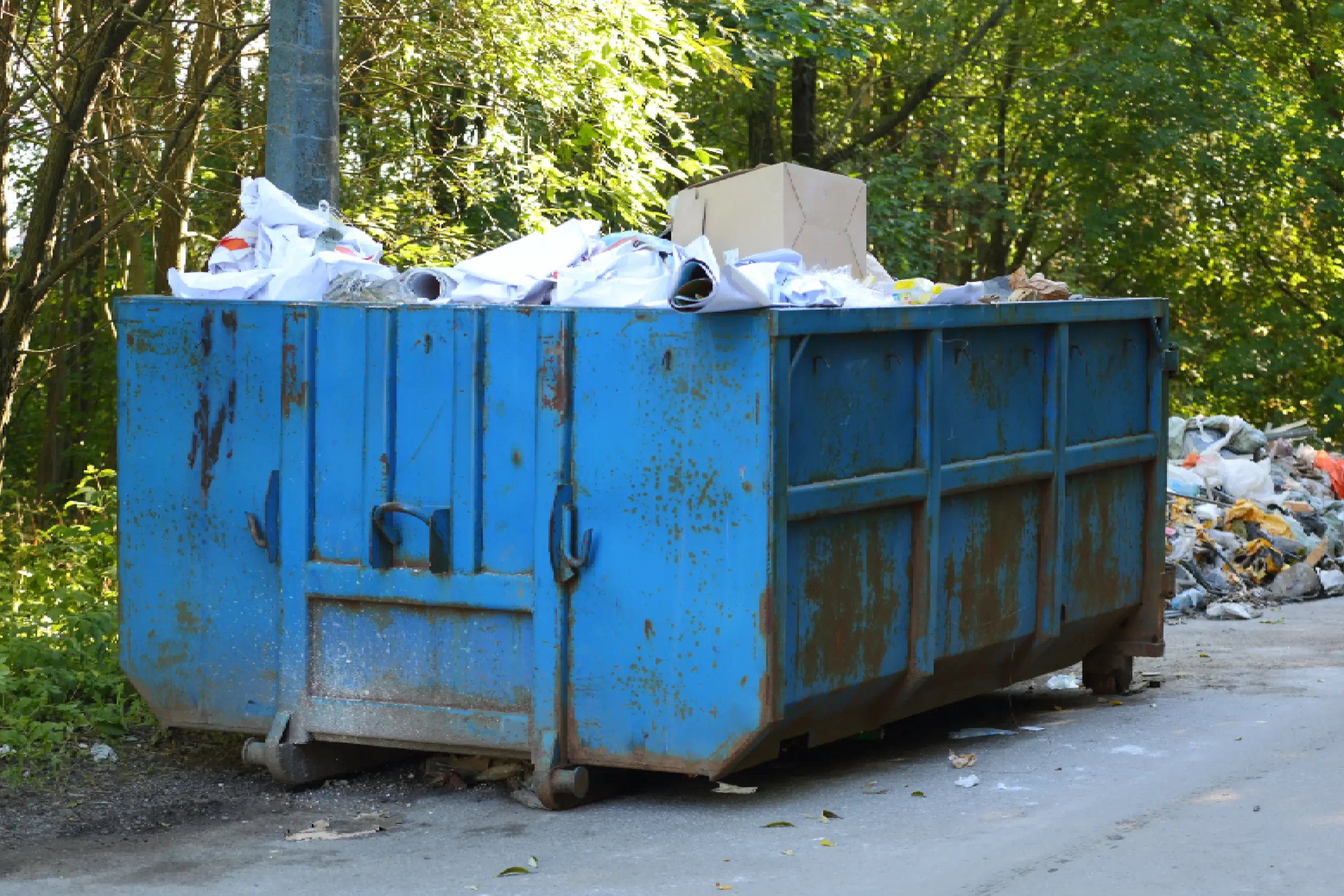Dumpster Rental or Junk Removal: Which Service Fits Your Need?